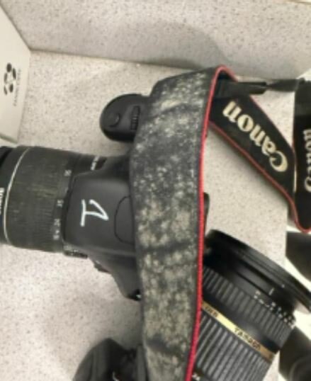 Teachers and Students Say Mold Concerns Continue at Lakewood Ranch High ...