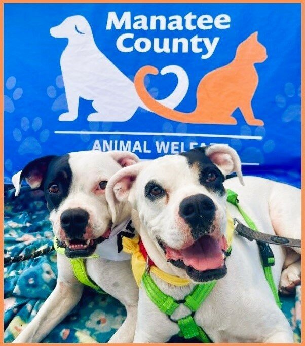County announces upcoming Animal Welfare Center Opening and Gateway ...