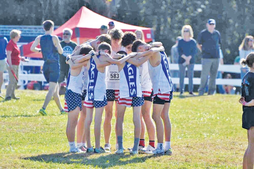 Eagles Cross Country teams finish strong at state - Chester County ...