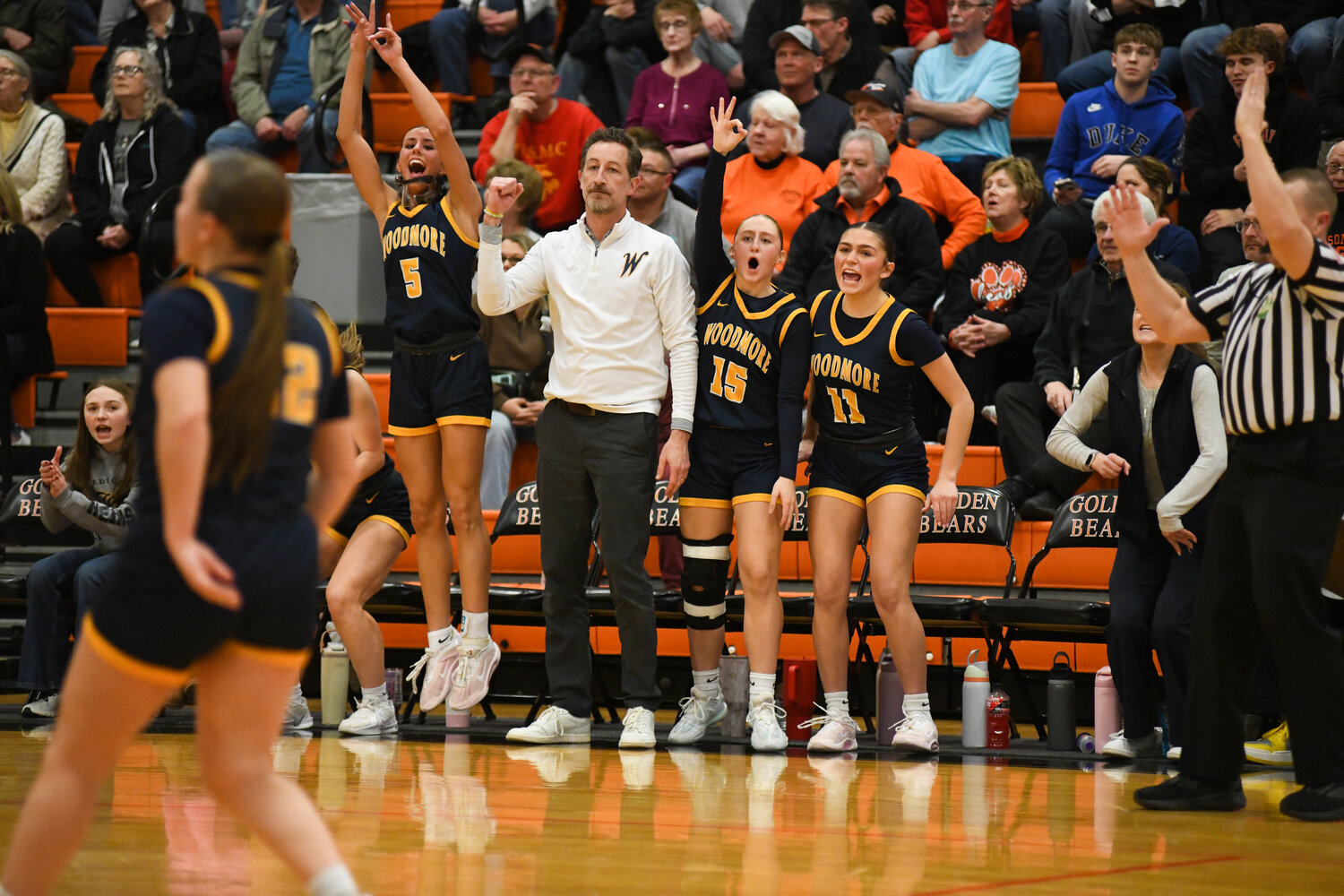 Girls roundup: Woodmore girls stun Gibsonburg, claims Division VI ...