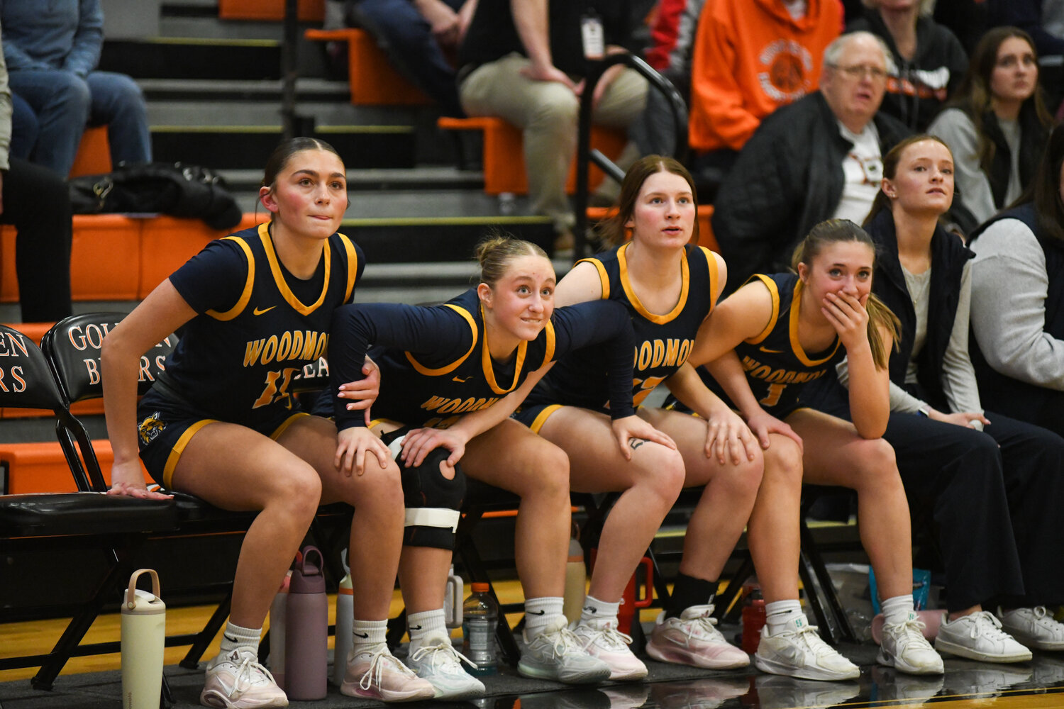 Girls roundup: Woodmore girls stun Gibsonburg, claims Division VI ...