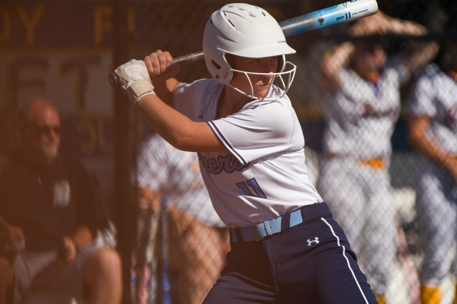 Softball roundup: Lake, Clay, Gibsonburg fall in regional play - The Press