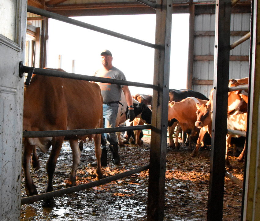 A day in the life of the Wielenbergs - Dairy Star