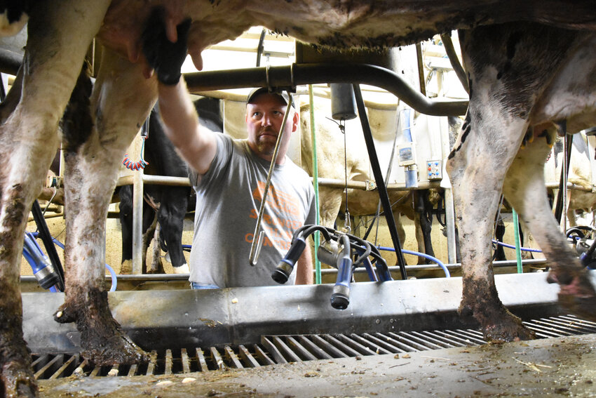 A day in the life of the Wielenbergs - Dairy Star