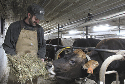 Dry hay key component in ration for Swartz - Dairy Star