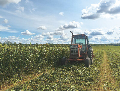 Dry hay key component in ration for Swartz - Dairy Star