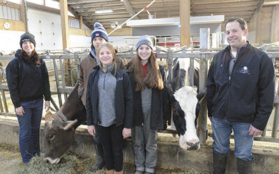 Sweet 16 times two - Dairy Star