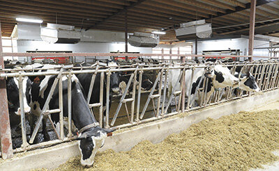 Relishing a robot retrofit - Dairy Star