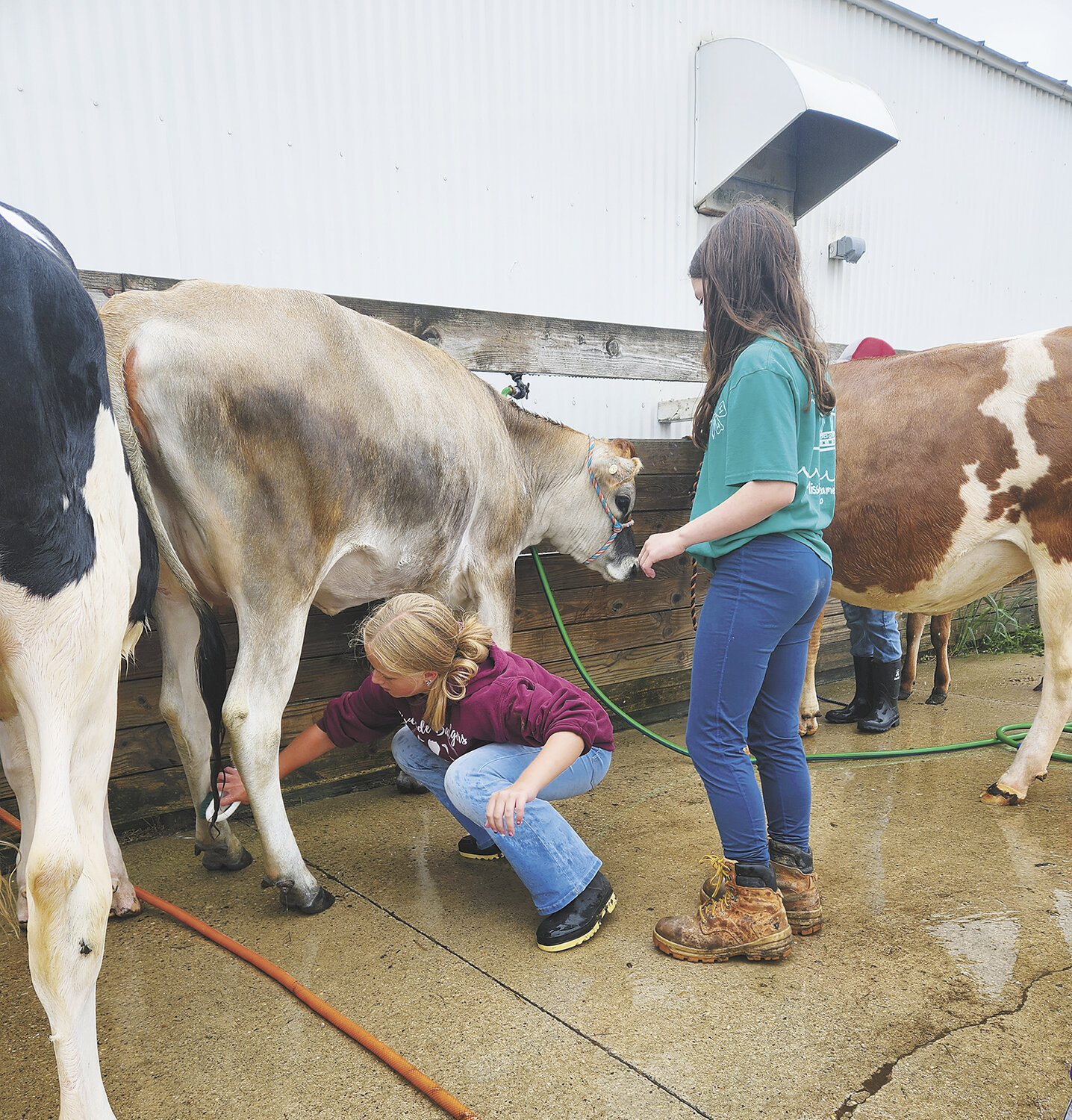 A full day of dairy learning - Dairy Star