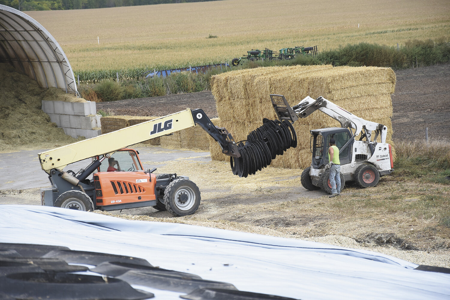 Teamwork to cover a silage pile - Dairy Star