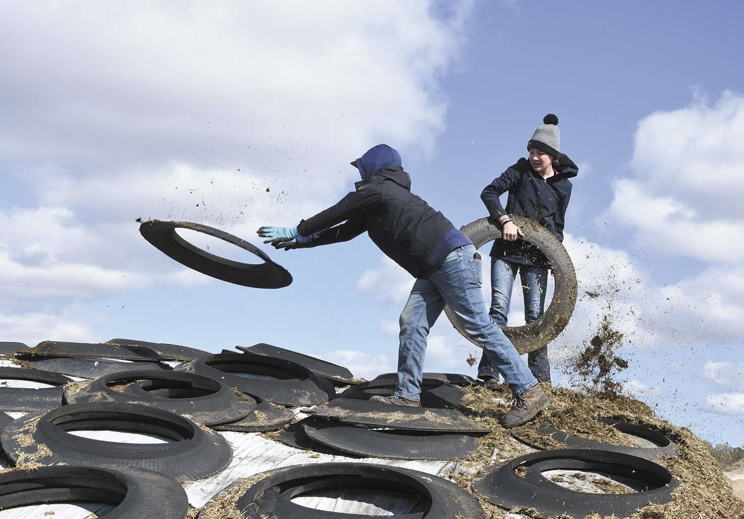 Forage Profile: Ken, Aaron and Ethan Vogt, Vogt Dairy LLC, Sauk Centre ...