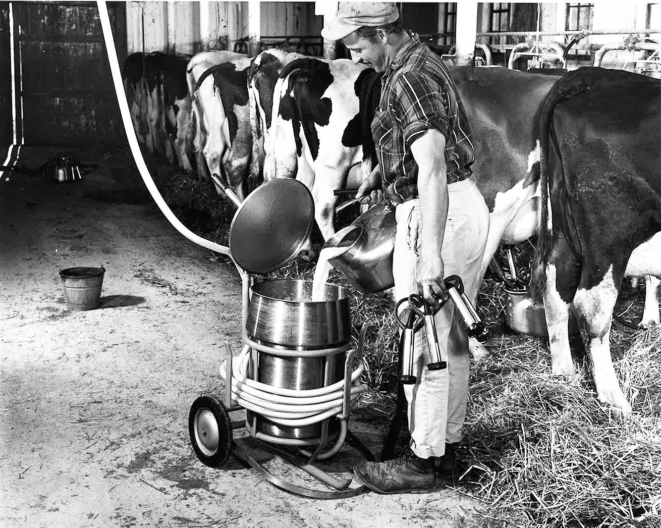 A dairy industry revolution - Dairy Star