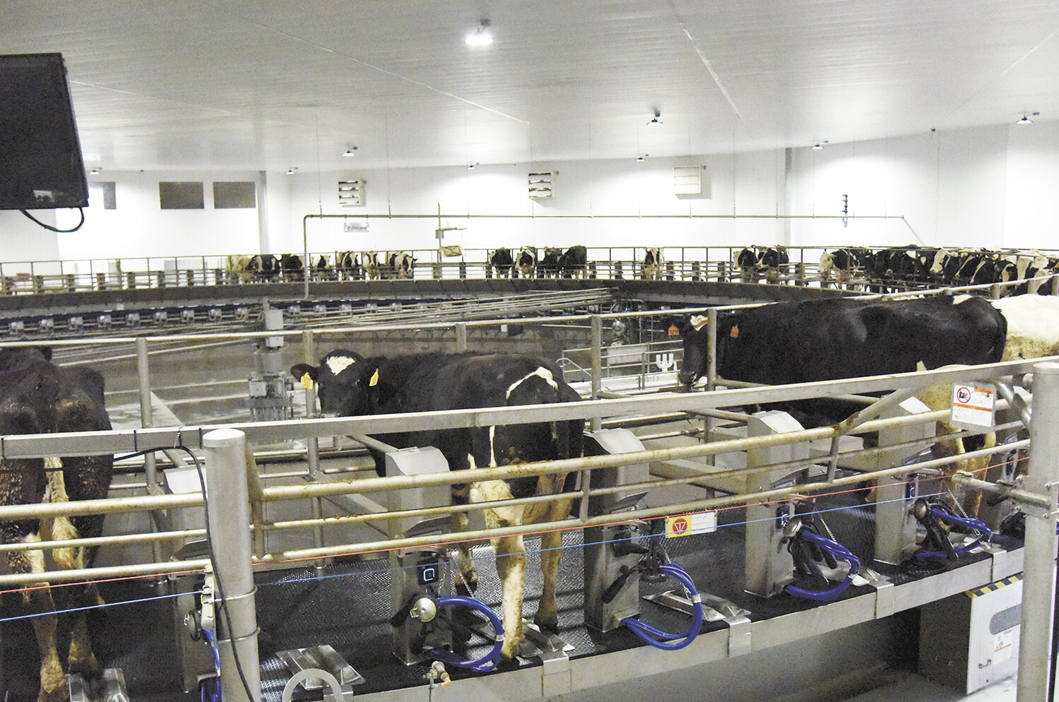 Partnership, barn developed to last - Dairy Star