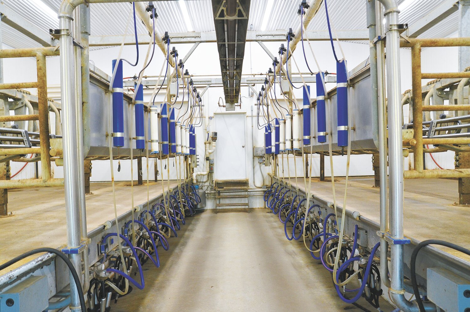 A century of progress - Dairy Star