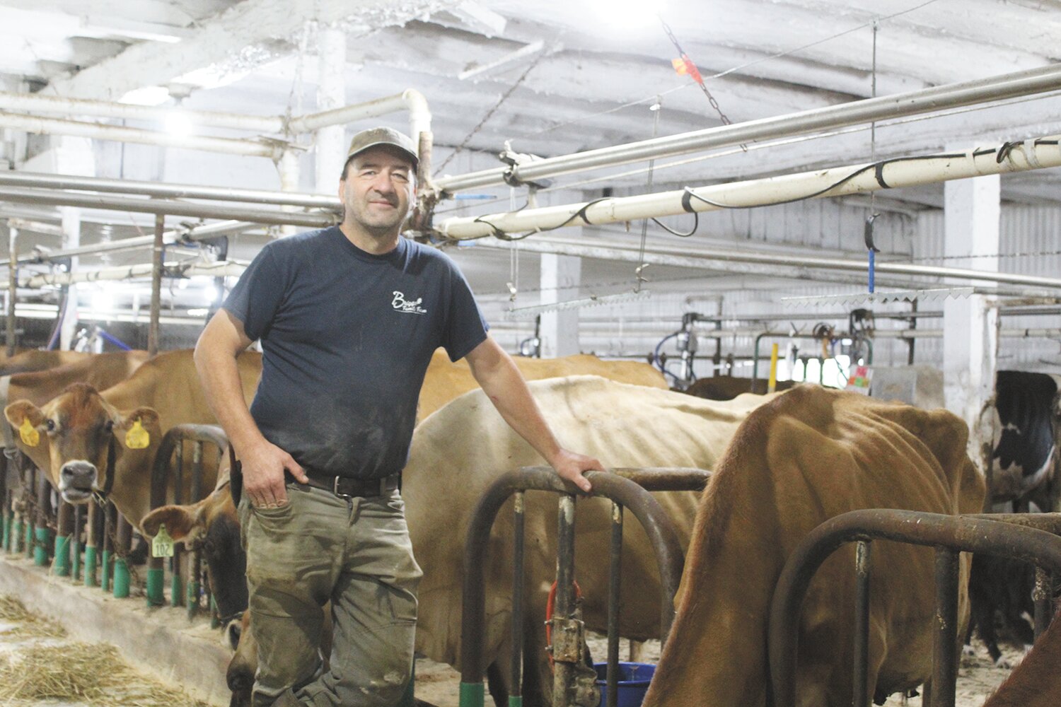 Forage Profile: Jim Briggs - Dairy Star