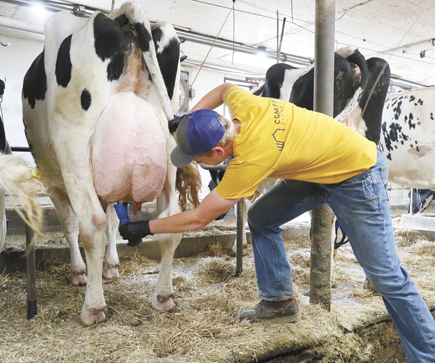 The relief milkers - Dairy Star
