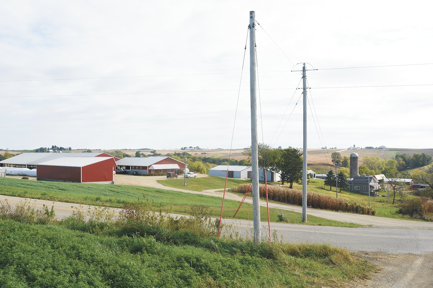 Top Performers: Jason Lehman of Lehman Dairy - Dairy Star