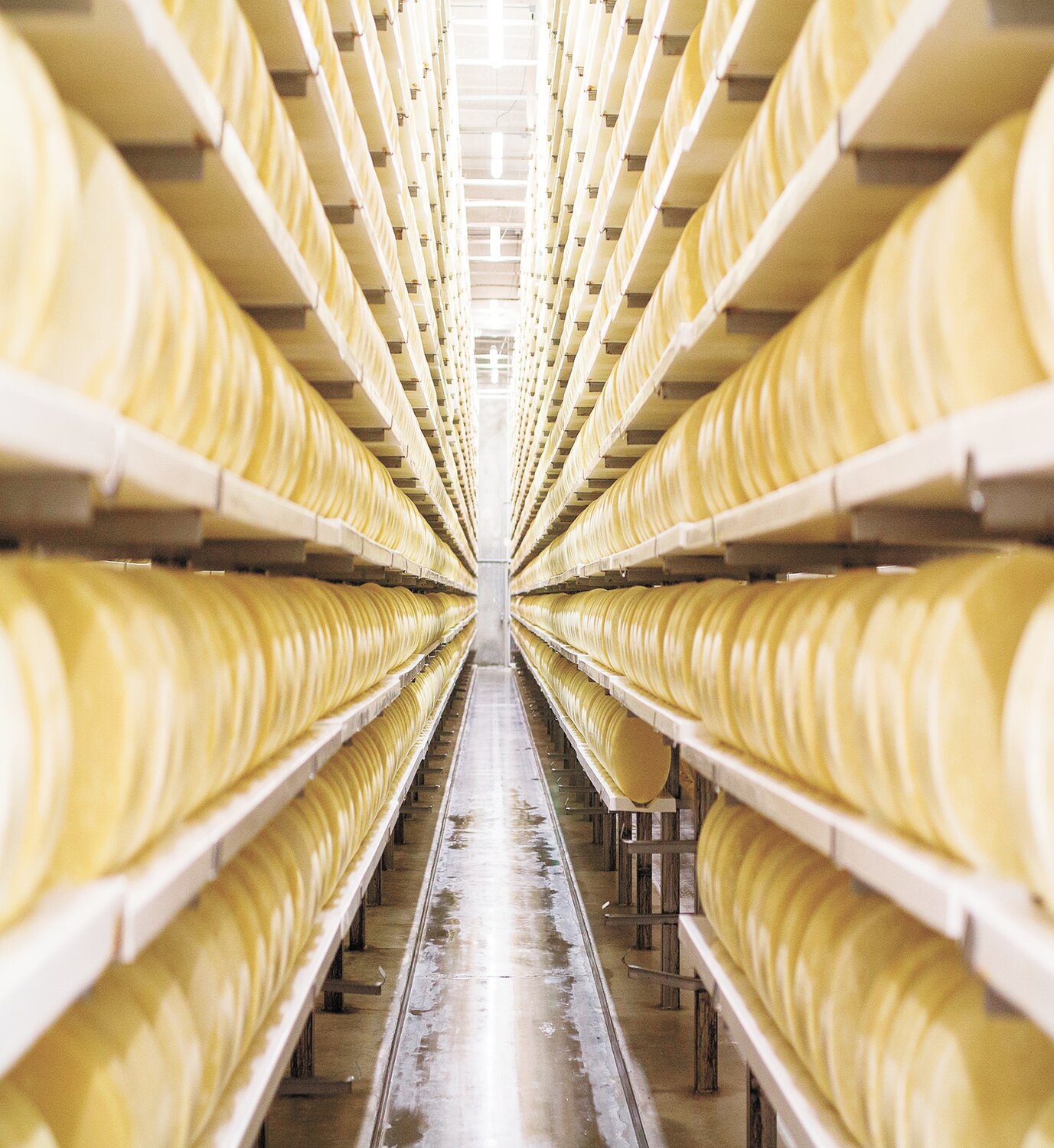 Artisanal cheese on a large scale - Dairy Star