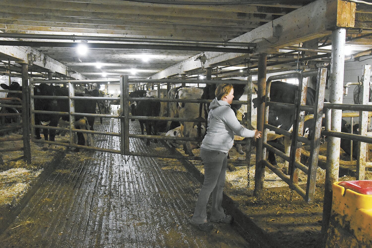 Finding the right fit - Dairy Star