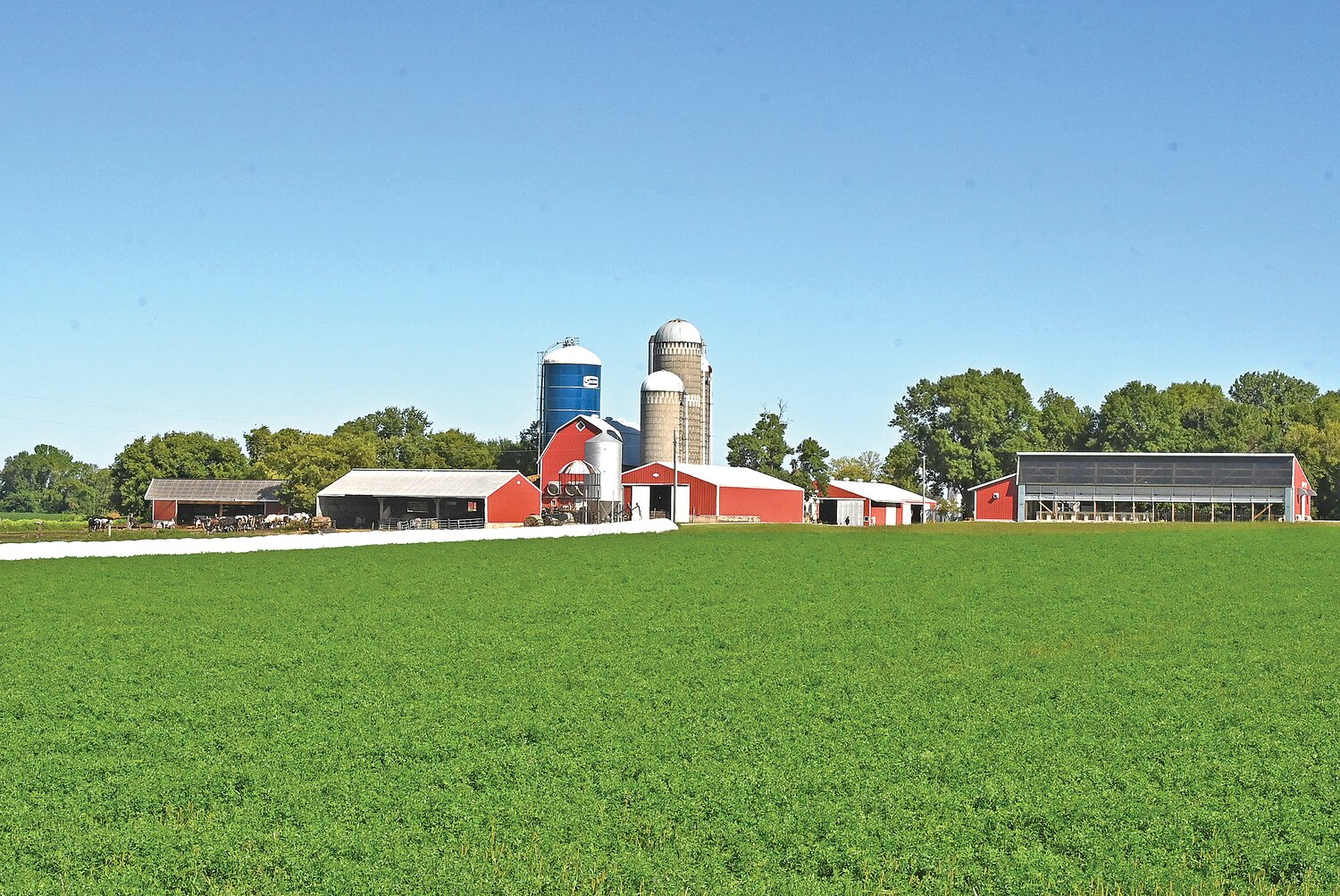 100 years, four generations, one farm - Dairy Star