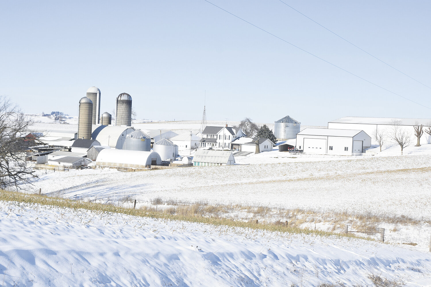100 years of Holsteins - Dairy Star