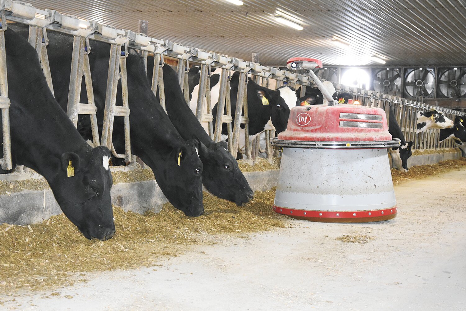 Top Performers: Wesley and Maria Martin - Dairy Star