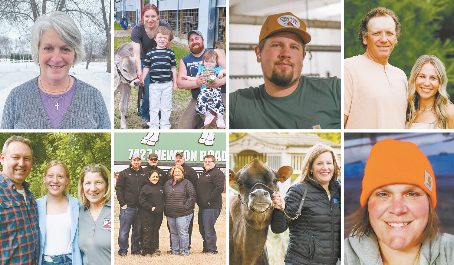From our side of the fence - Dairy Star
