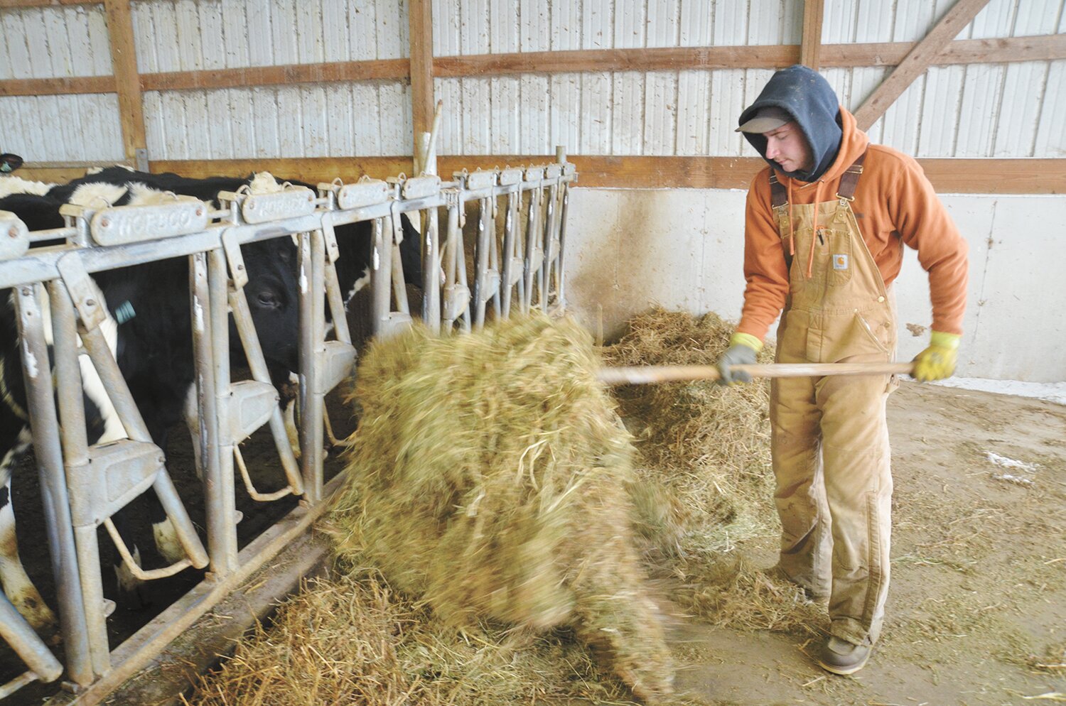 Giving youth an opportunity - Dairy Star