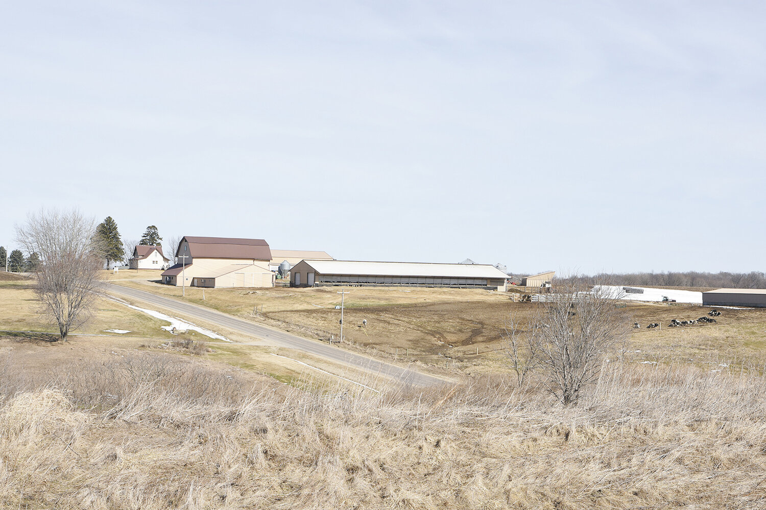 Top Performers: Todd Mark of Mark-Ridge Farm - Dairy Star