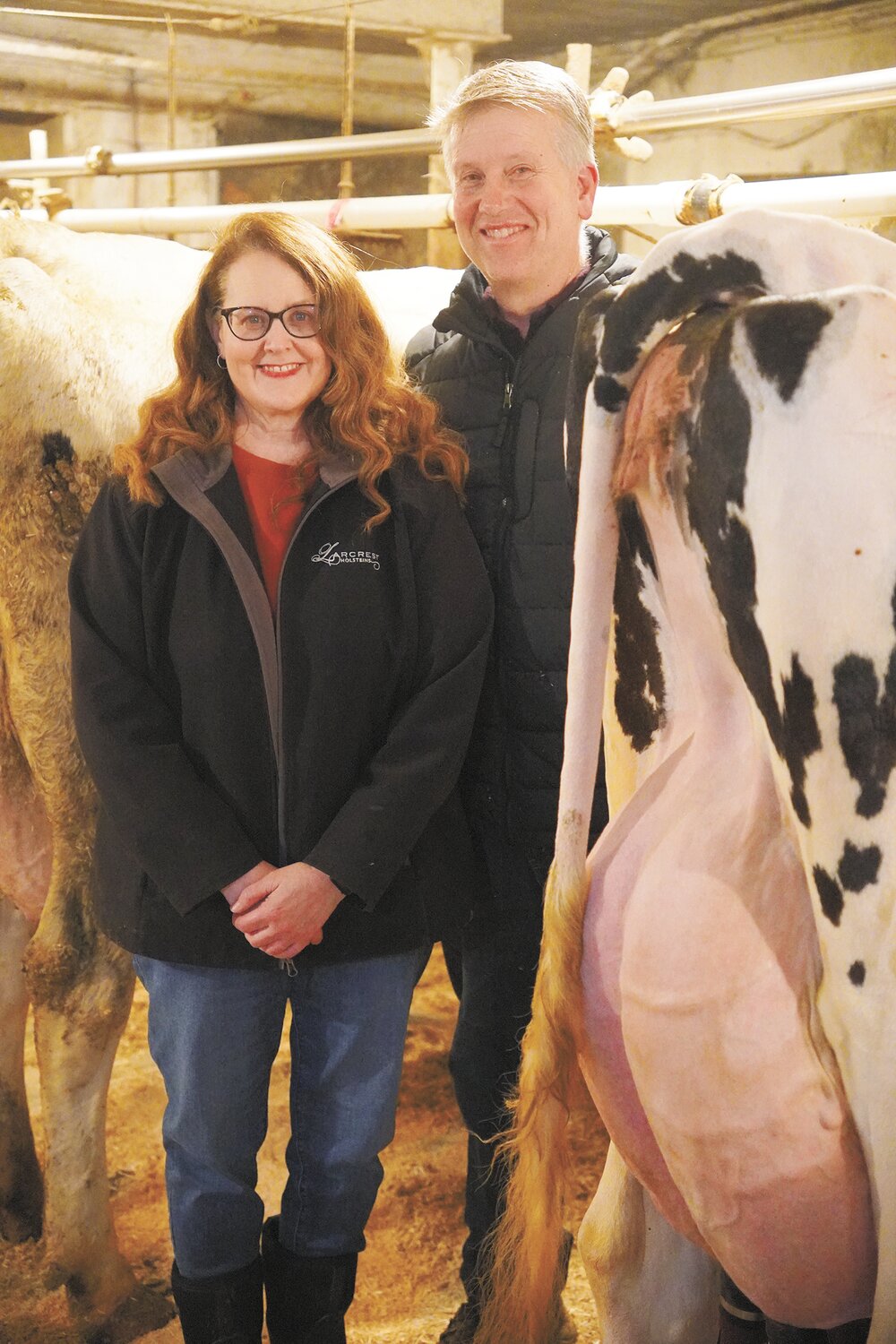 Eyes first, tools second - Dairy Star