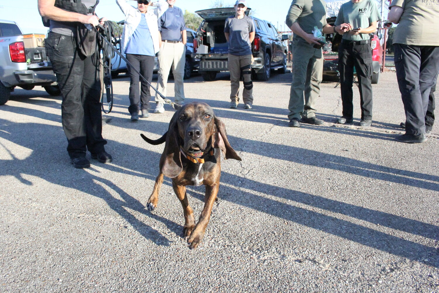 K9 tracking camp - Hood County News
