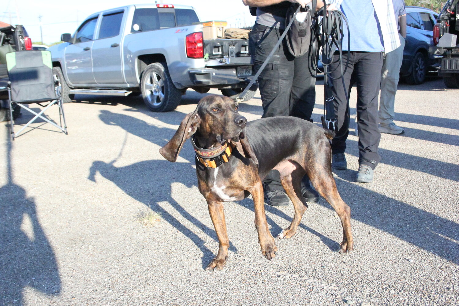 K9 tracking camp - Hood County News