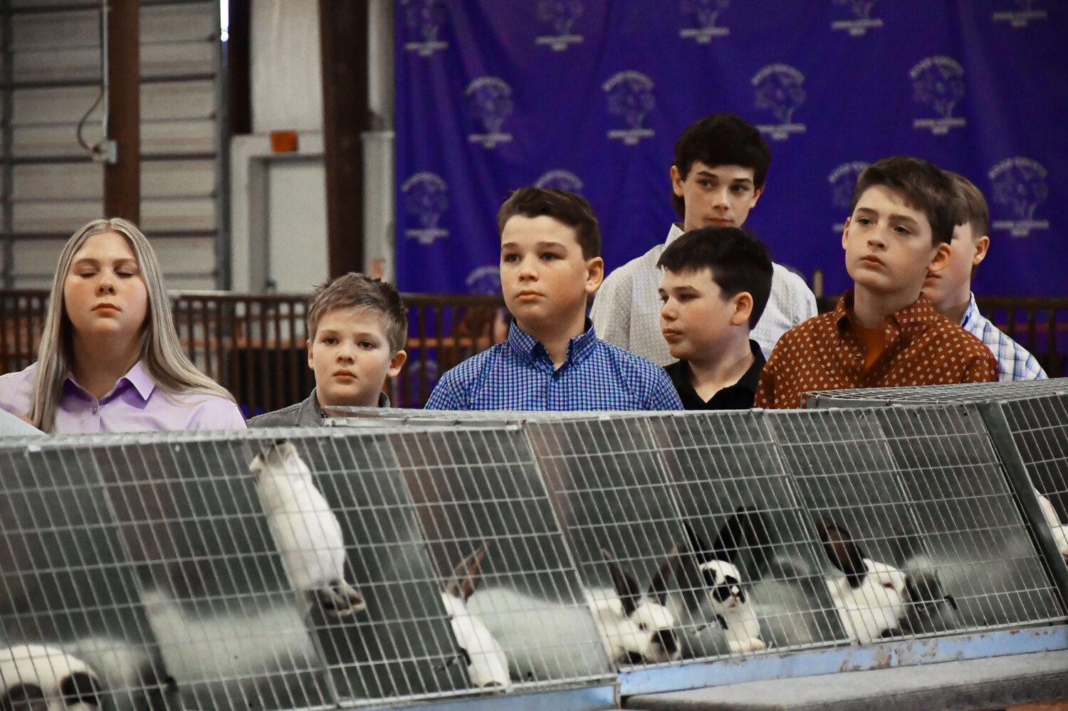 2026 HCJLS Rabbit Show - Hood County News