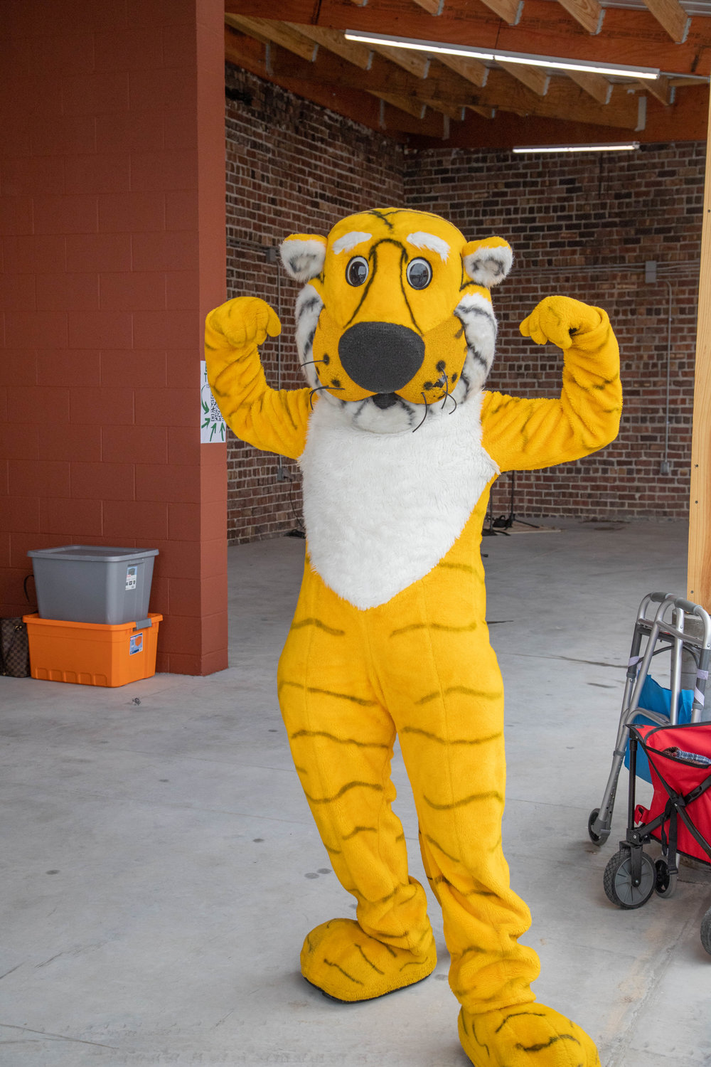 Truman The Tiger Cartoon