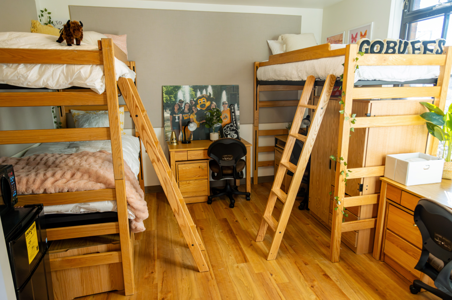 Boulder, CU talk student housing - The Mountain-Ear