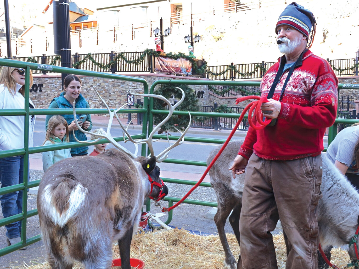 Reindeer bring holiday cheer - The Mountain-Ear