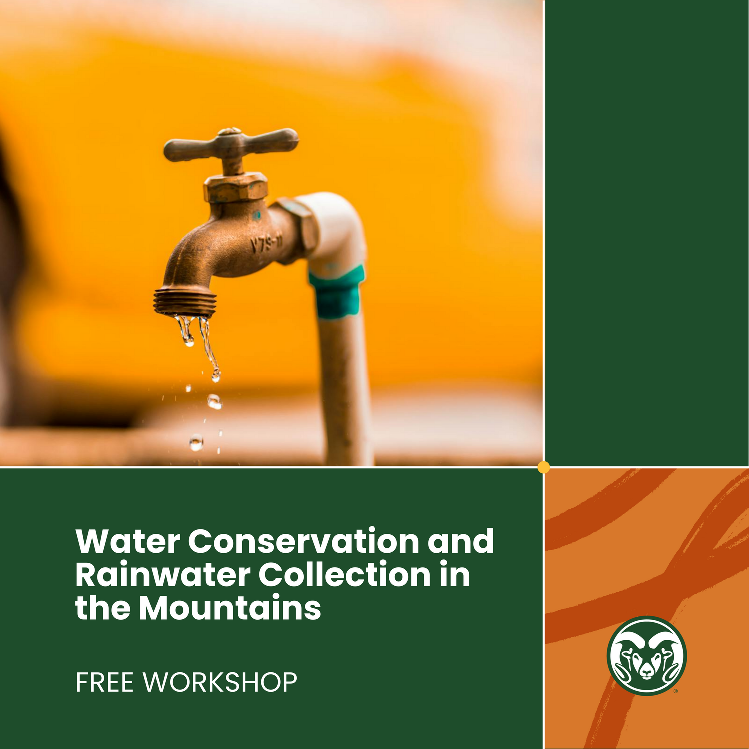 Water Conservation & Rainwater Collection in the Mountains - The ...