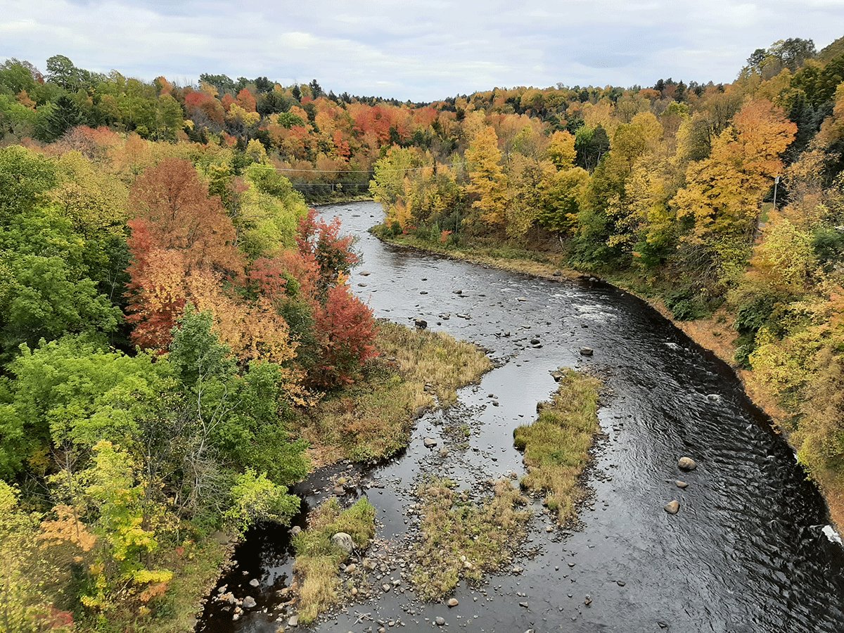 St. Lawrence County sees fading fall colors, but vibrant foliage views ...