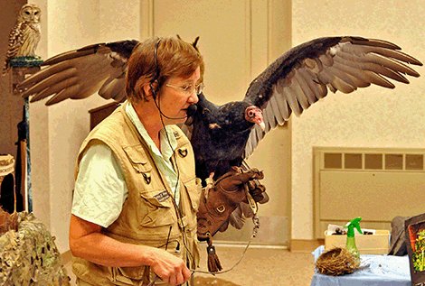 Wildlife Festival brings entertainment and education to Massena Sept ...