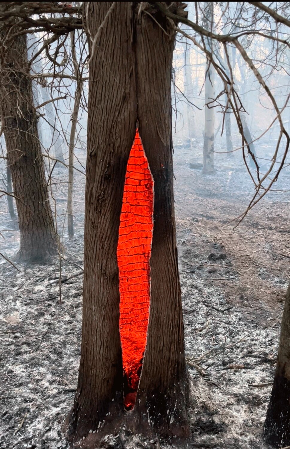 DEC warns county residents to use caution following 22-acre forest fire ...