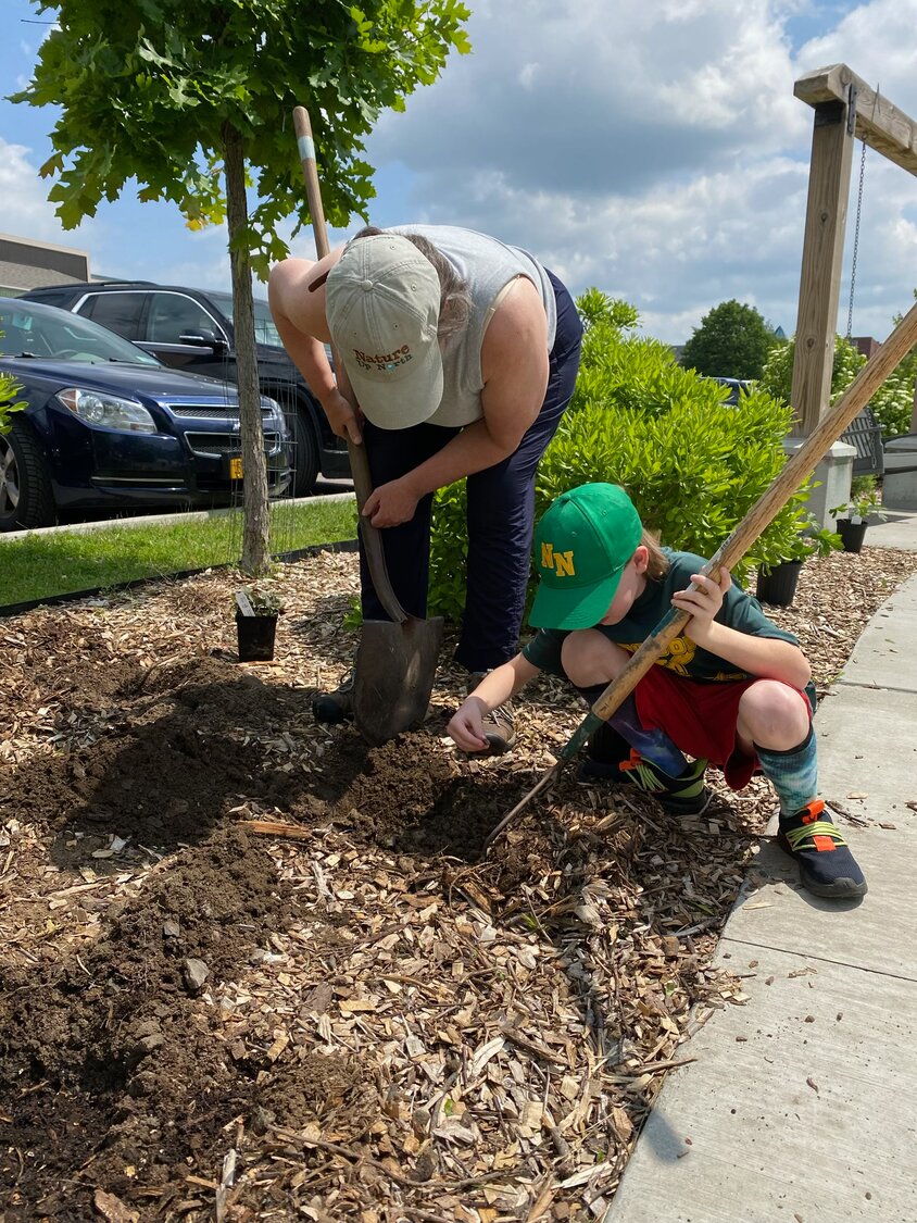 Town, Village of Potsdam promote native plants to support pollinators ...
