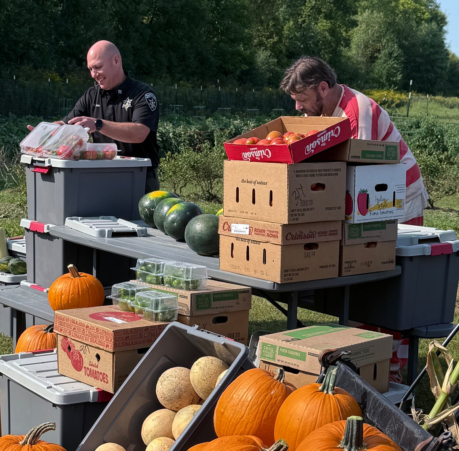 St. Lawrence County inmates give back through jail garden program ...