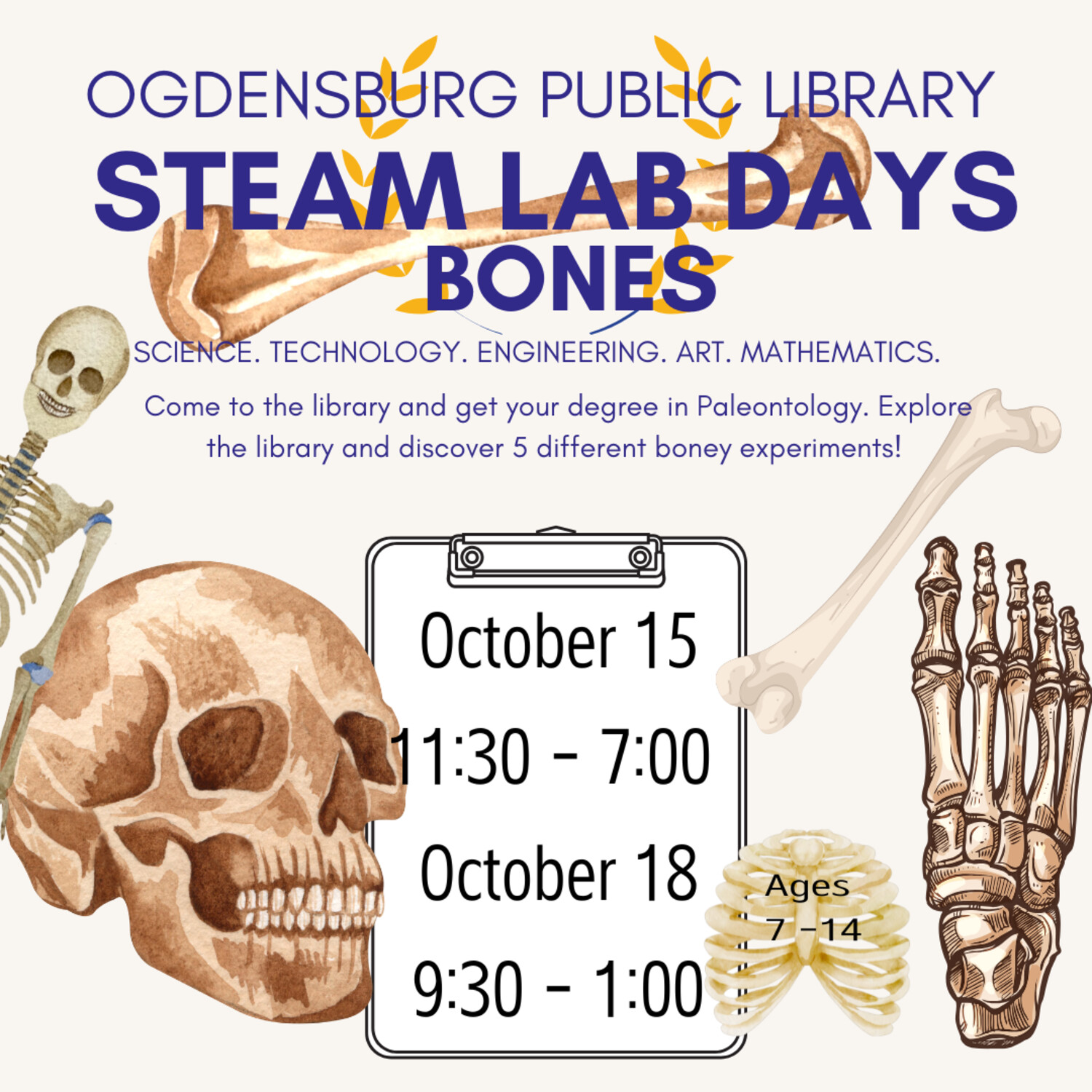 Science Day - The Science of Bones - North Country Now