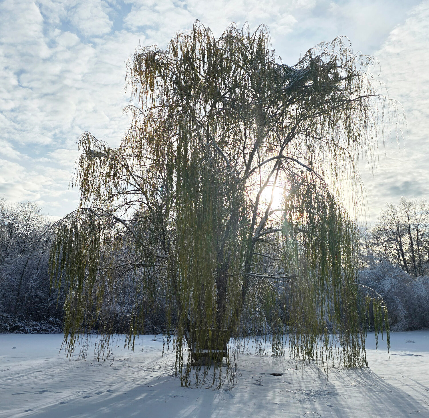 Winter arrives in Winthrop - North Country Now