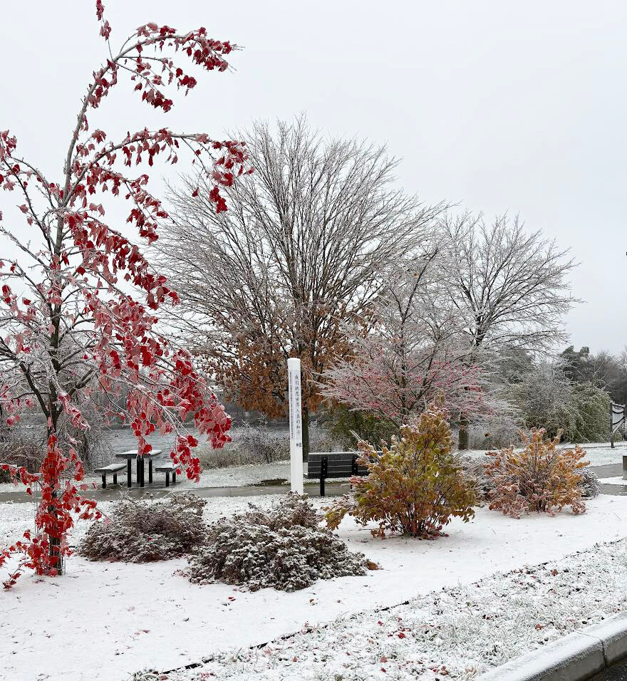 Winter day in Ives Park - North Country Now