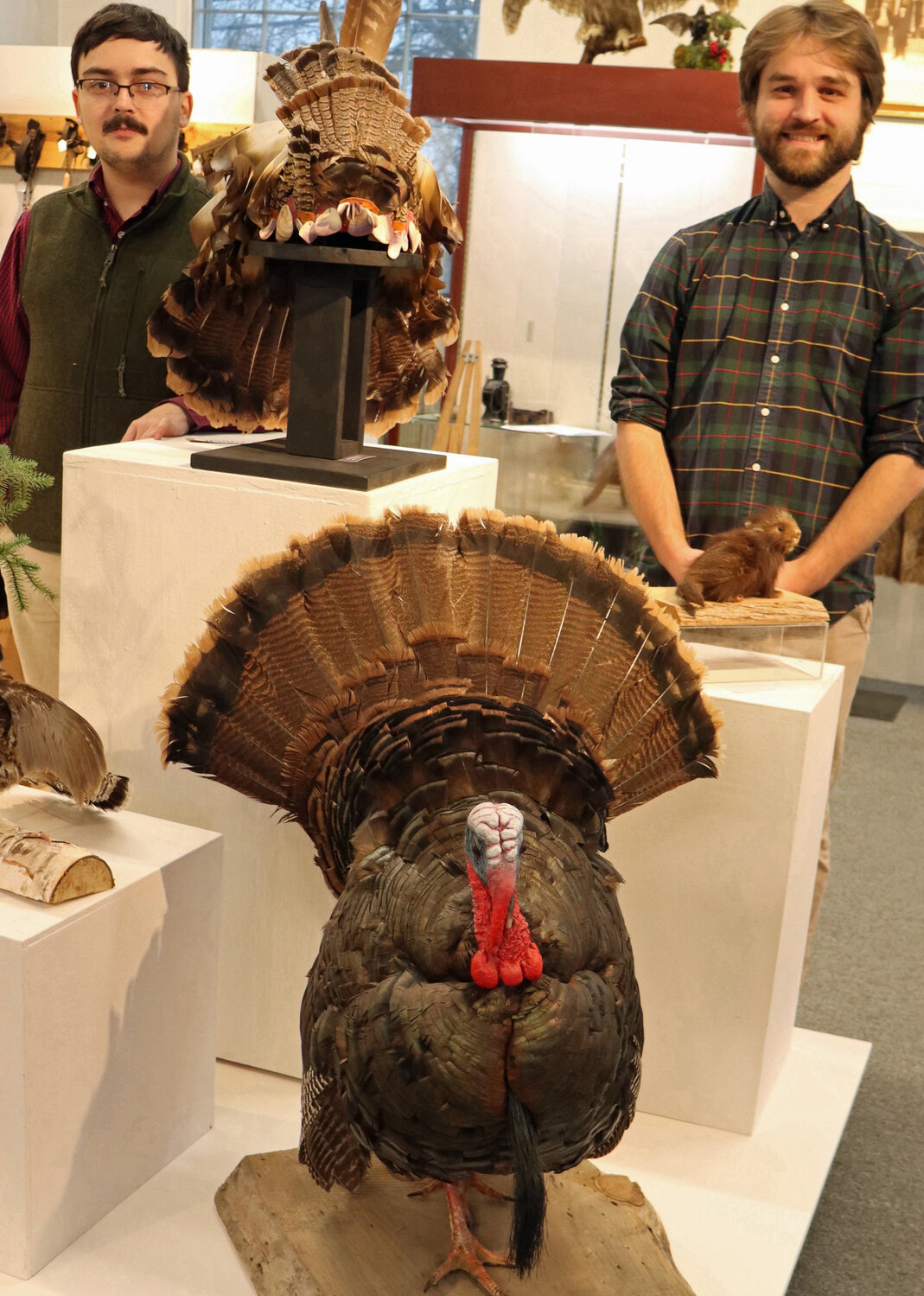 From beaver pelts to feathered hats: exhibit traces Potsdam’s fashion ...