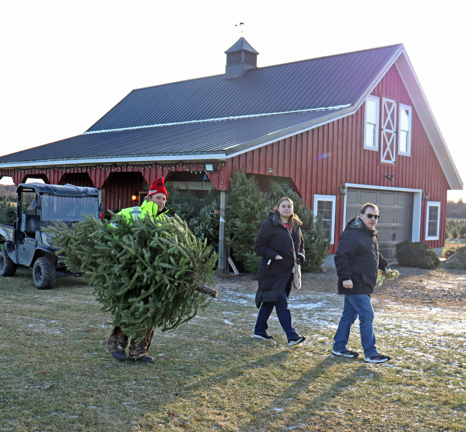 Slideshow: Christmas tree farm bustling in Canton - North Country Now