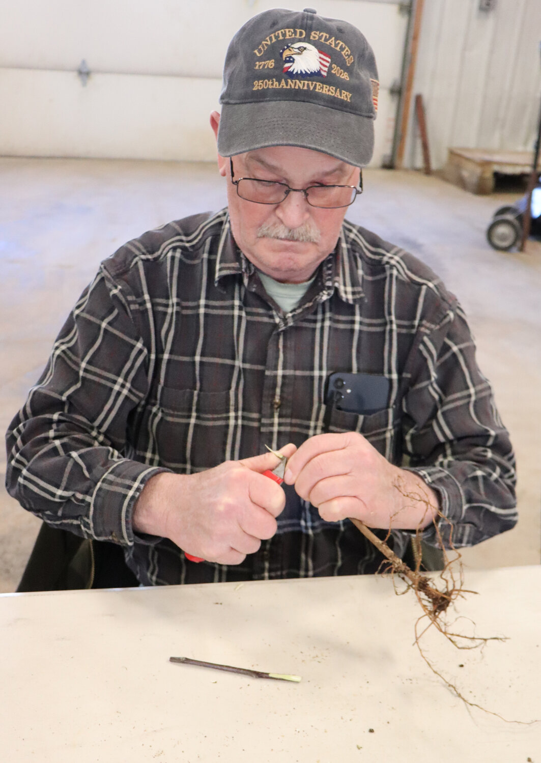 Residents learn about tree grafting, disease, pruning and chainsaw ...