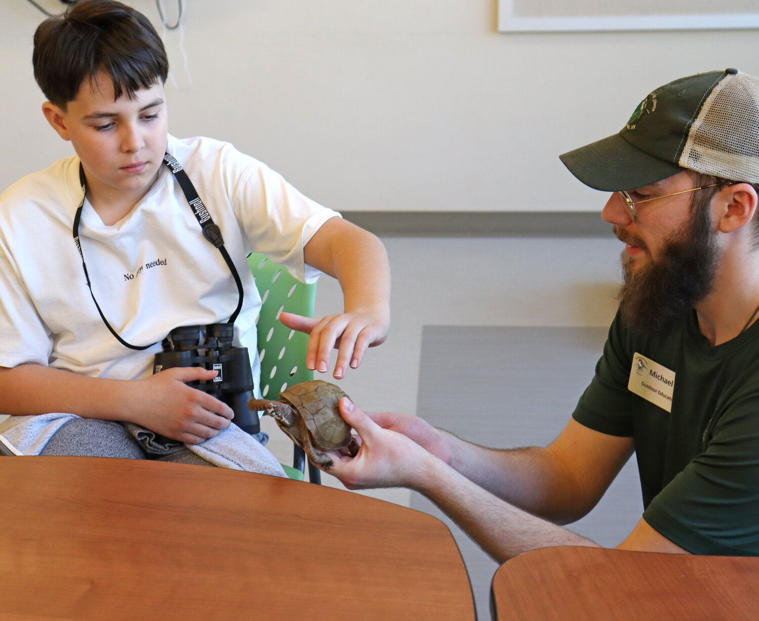 Turtles on display at Nicandri Nature Center - North Country Now