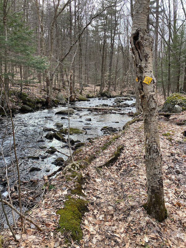 St. Lawrence County Soil and Water to get state grants to restore ...